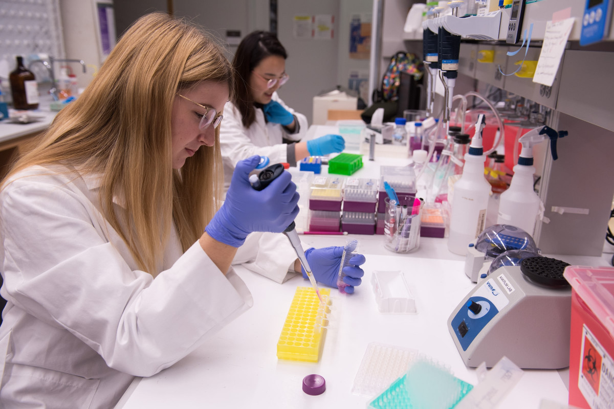 Biomedical Engineering the Hawkeye Way – Iowa Admissions