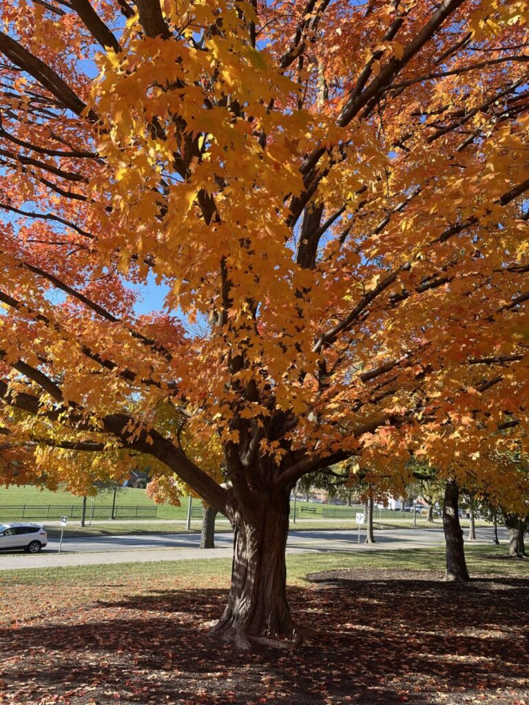 Favorite Monthly Memories – Emily