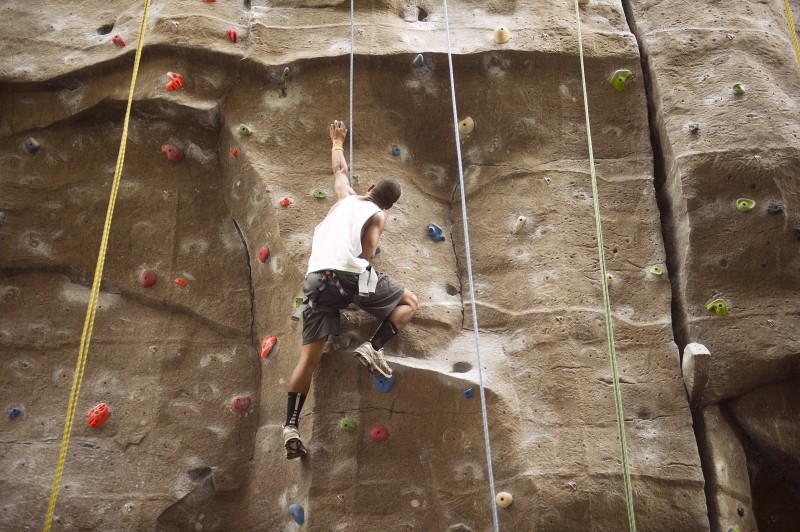 Mina » Admissions - The University of Iowa